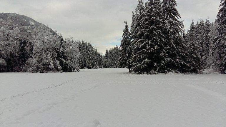 Destination Running: Winter Trails in British Columbia | RunnerClick