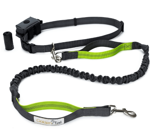 Best Dog Leashes for Running Fully Reviewed | RunnerClick