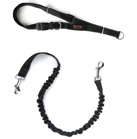 Best Dog Leashes for Running Fully Reviewed | RunnerClick