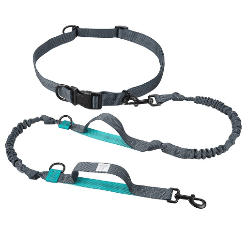 Best Dog Leashes for Running Fully Reviewed | RunnerClick