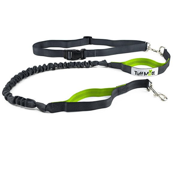 Best Dog Leashes for Running Fully Reviewed | RunnerClick