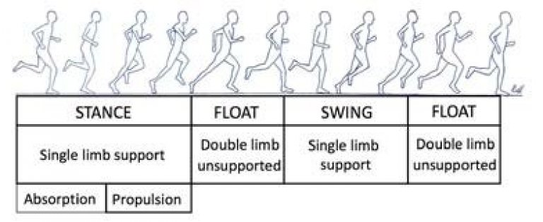Running Gait: What It Is, How To Analyze It And How To Improve It | RC